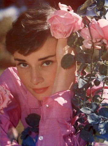 Audrey-Hepburn-Portrait-Headshot- Everything Audrey_2 (12) - Everything ...